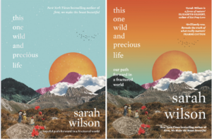My books - Sarah Wilson